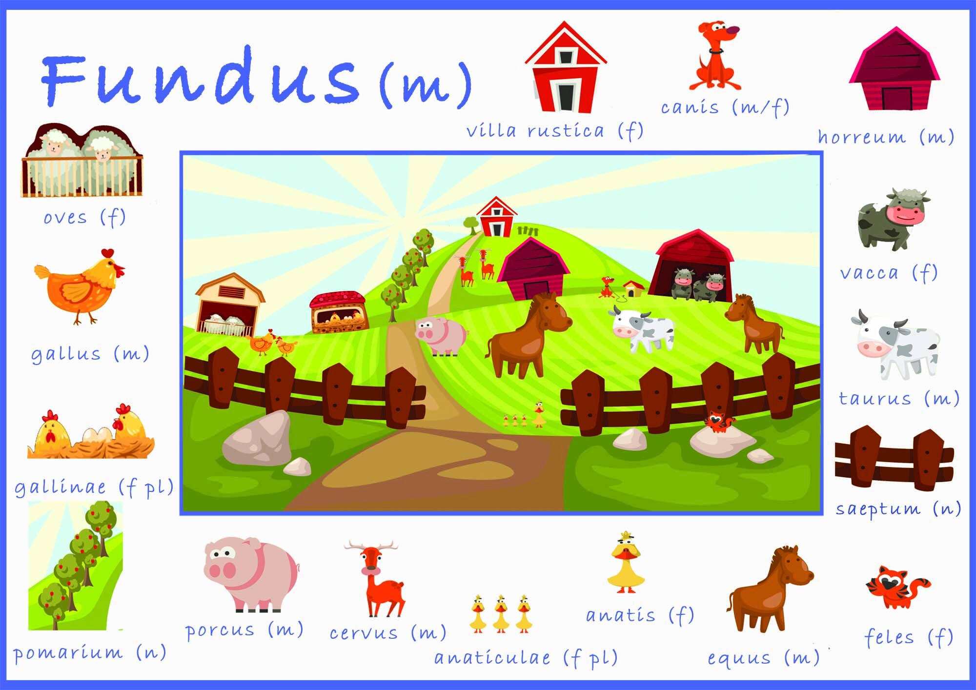 Printable Set of 6 Latin Vocabulary Posters | LOTE Print | Ancient ...