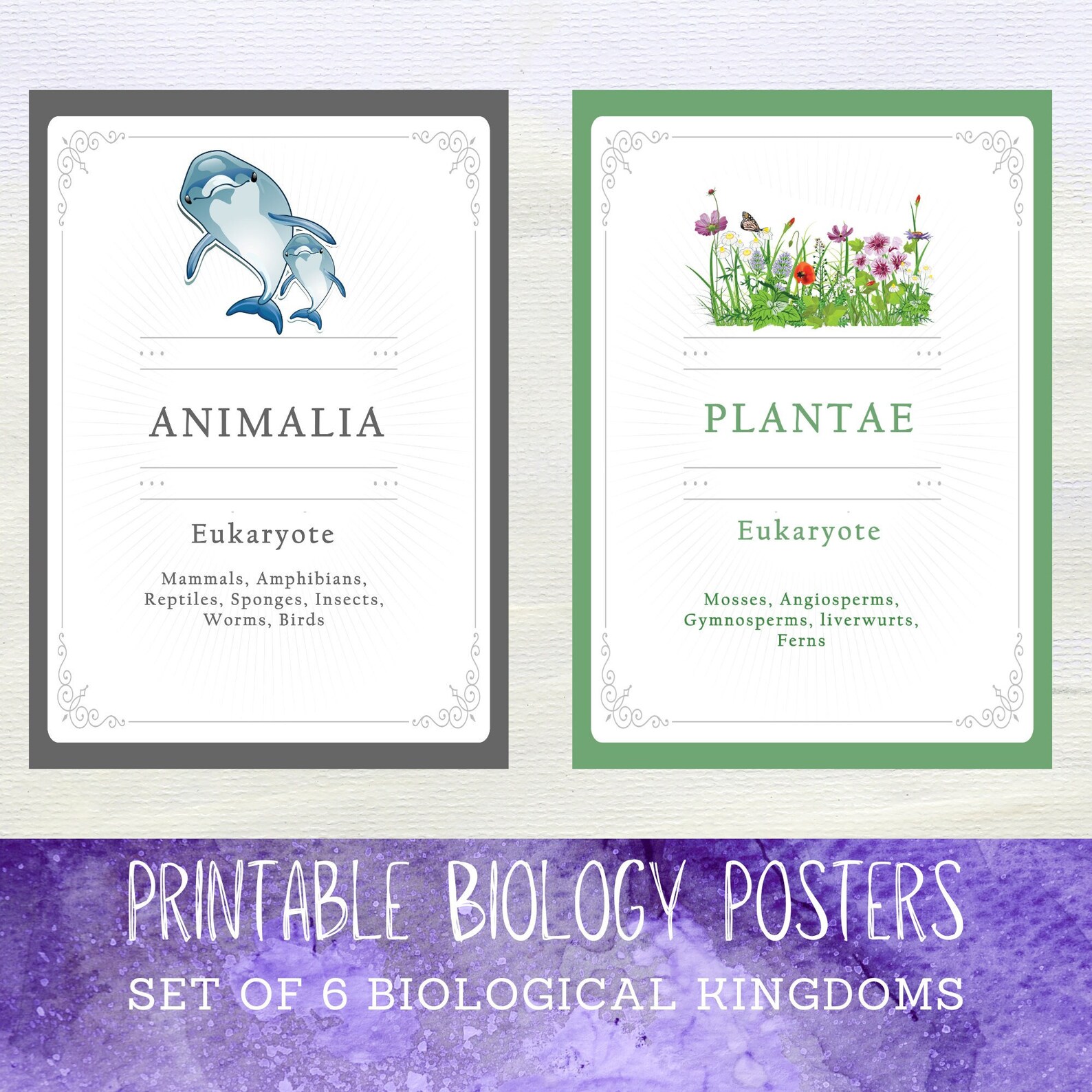 Printable Biology Posters the 6 Kingdoms Science Posters - Etsy