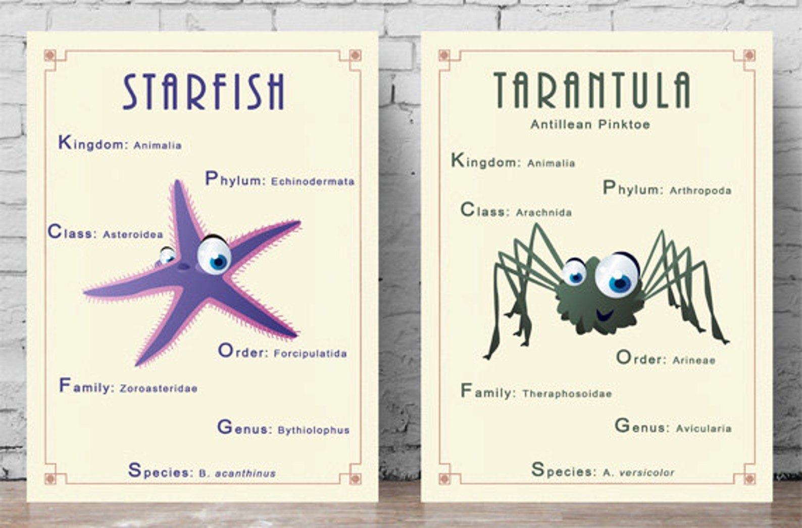 Printable Biology Posters - Animal Classification - Etsy