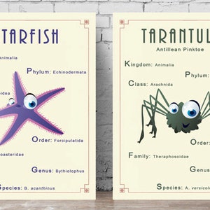 Printable Biology Posters - Animal Classification - Etsy