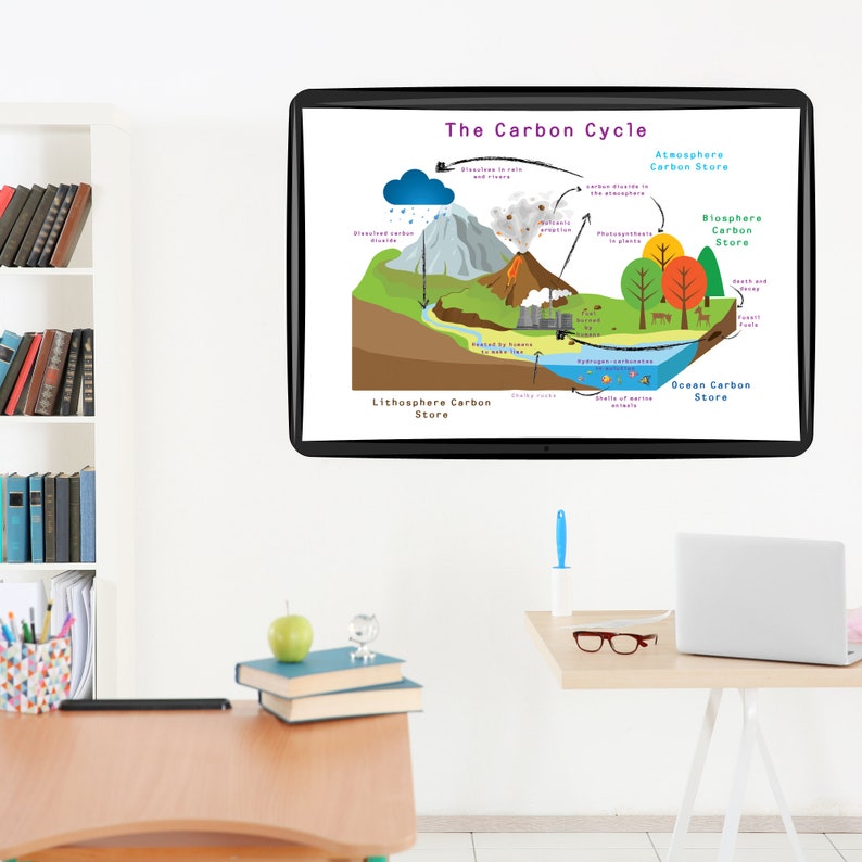 Printable Science Poster Set Chemistry Cycles, Carbon Cycle, Nitrogen ...