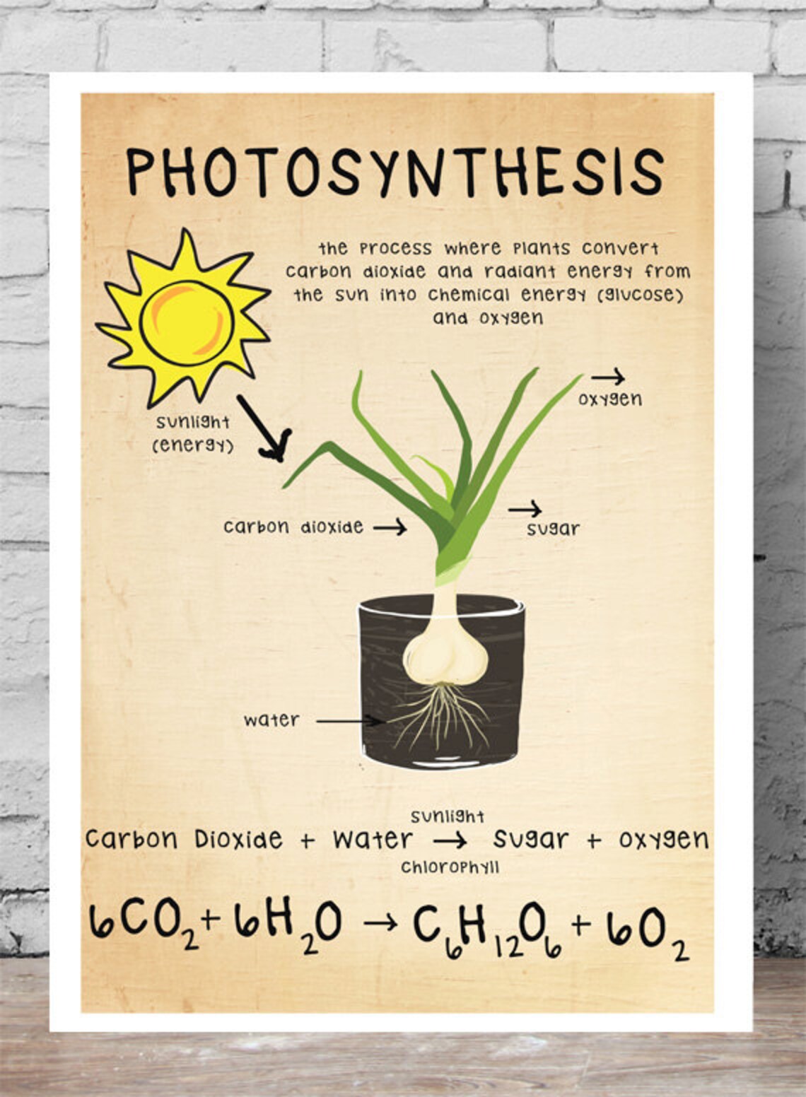 Biology Poster Photosynthesis Printable Science Poster - Etsy Singapore