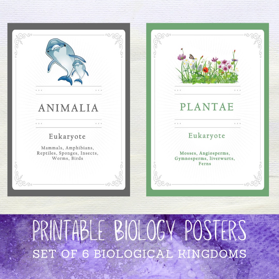 6 Kingdoms of Life Biology Posters | Classification Chart Set | High ...