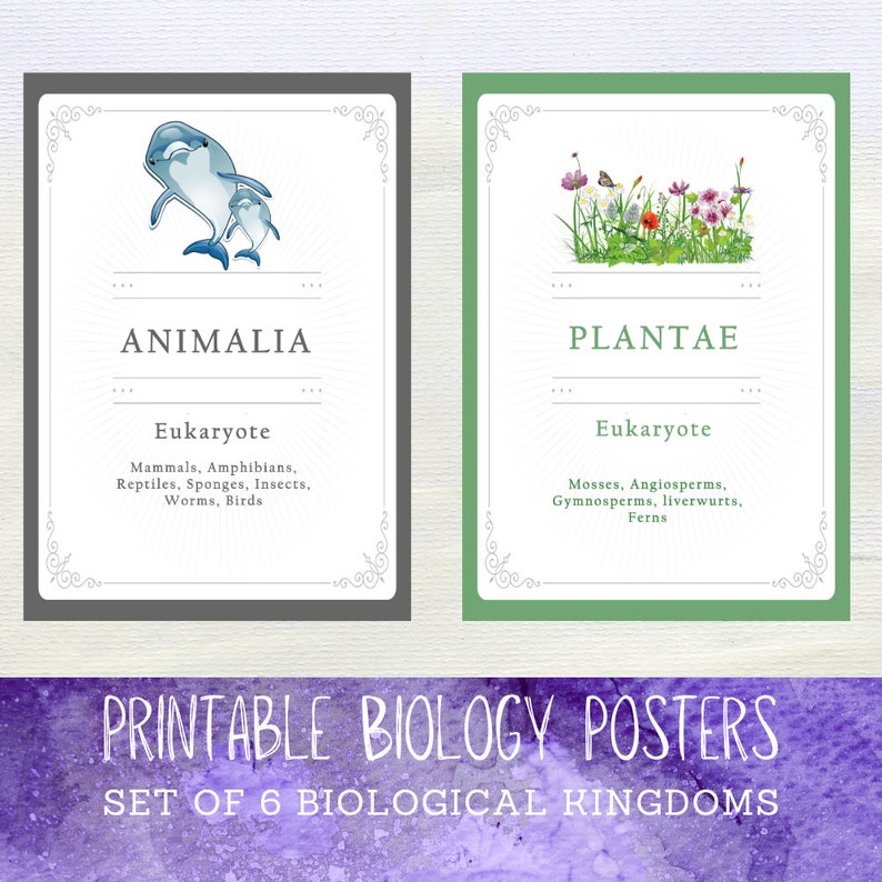 Printable Biology Posters the 6 Kingdoms Science Posters - Etsy UK