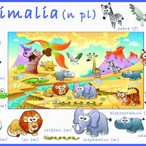Printable Set of 6 Latin Vocabulary Posters | LOTE Print | Ancient ...
