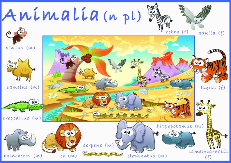 Printable Set of 6 Latin Vocabulary Posters | LOTE Print | Ancient ...
