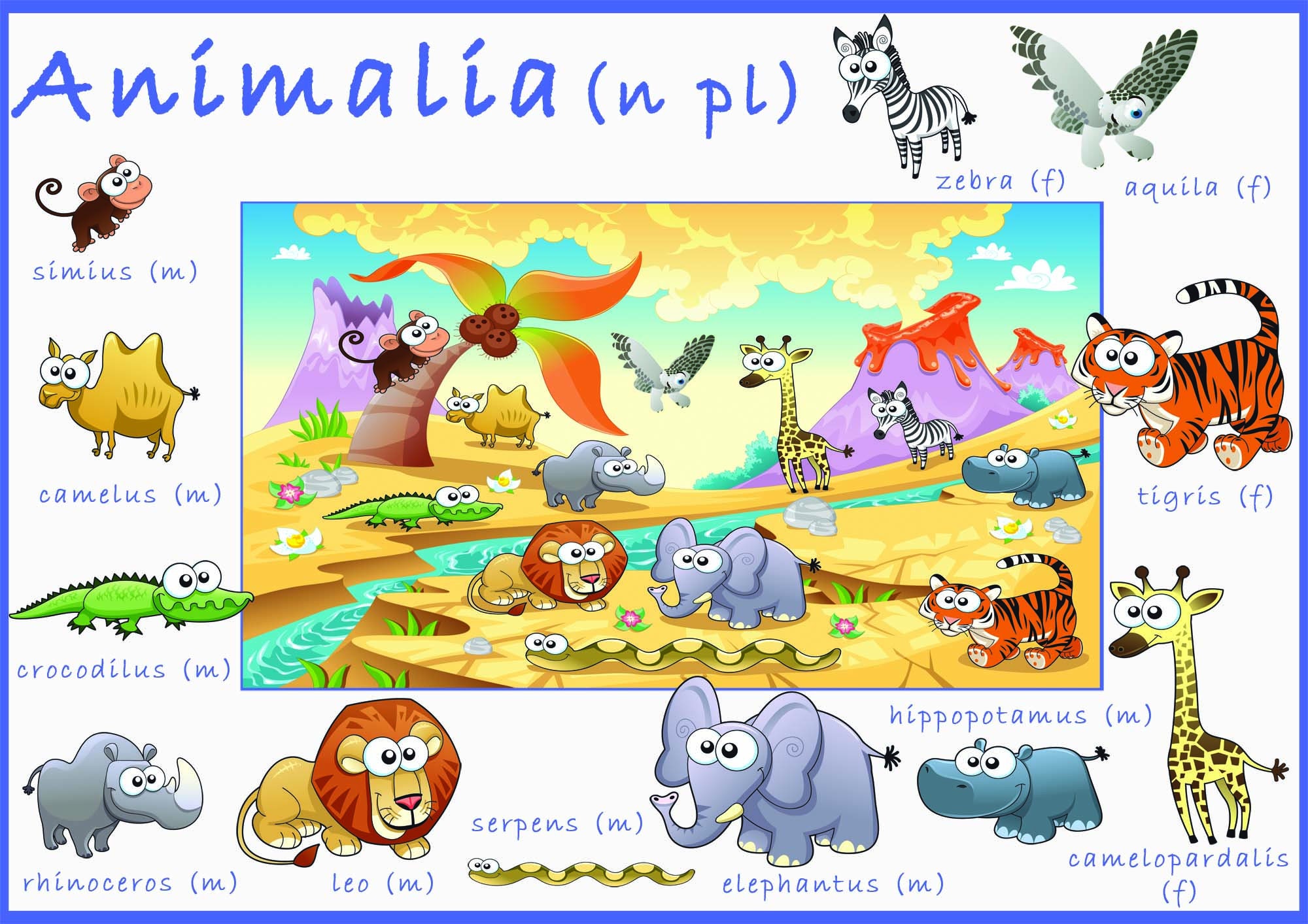 Printable Set of 6 Latin Vocabulary Posters | LOTE Print | Ancient ...