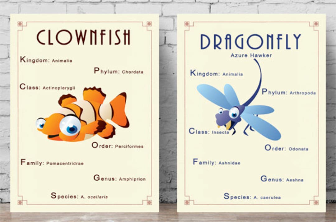 Printable Biology Posters - Animal Classification - Etsy
