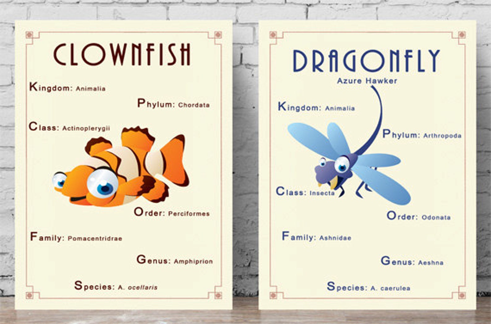 Printable Biology Posters - Animal Classification - Etsy