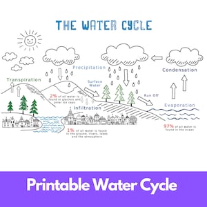 Printable Science Poster Set | Chemistry Cycles, Carbon Cycle, Nitrogen ...