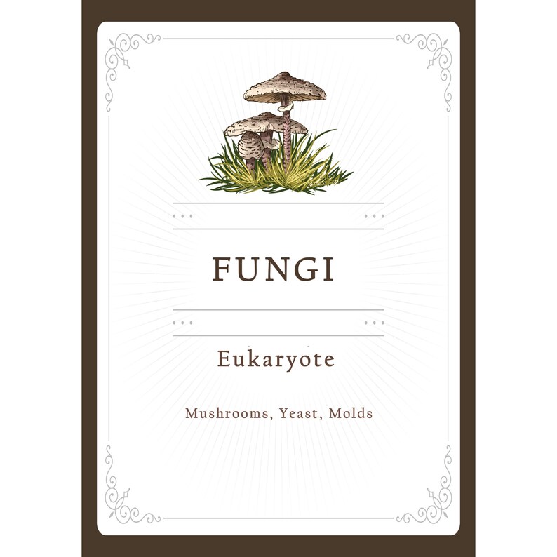 Printable Biology Posters the 6 Kingdoms Science Posters - Etsy