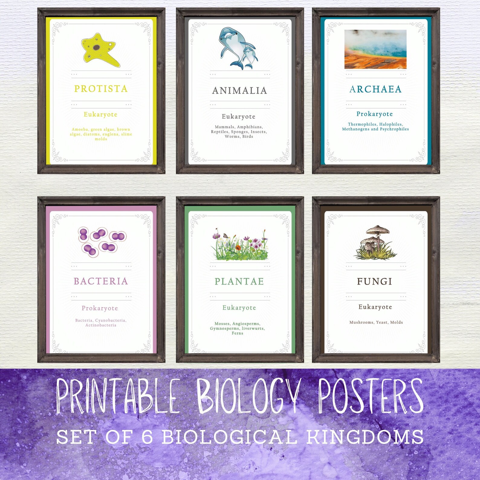 Printable Biology Posters the 6 Kingdoms Science Posters - Etsy UK
