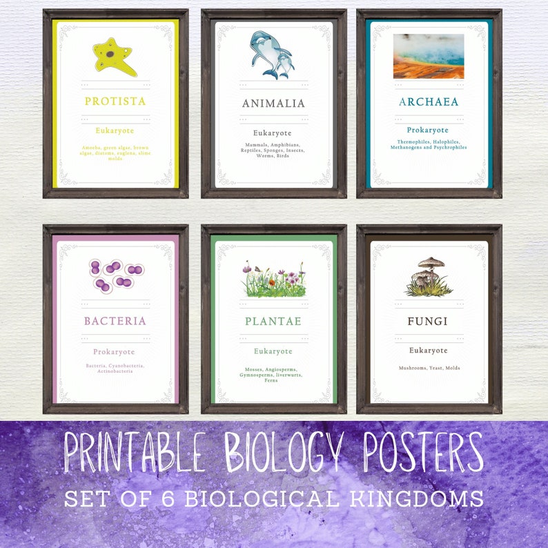 Printable Biology Posters the 6 Kingdoms Science Posters - Etsy