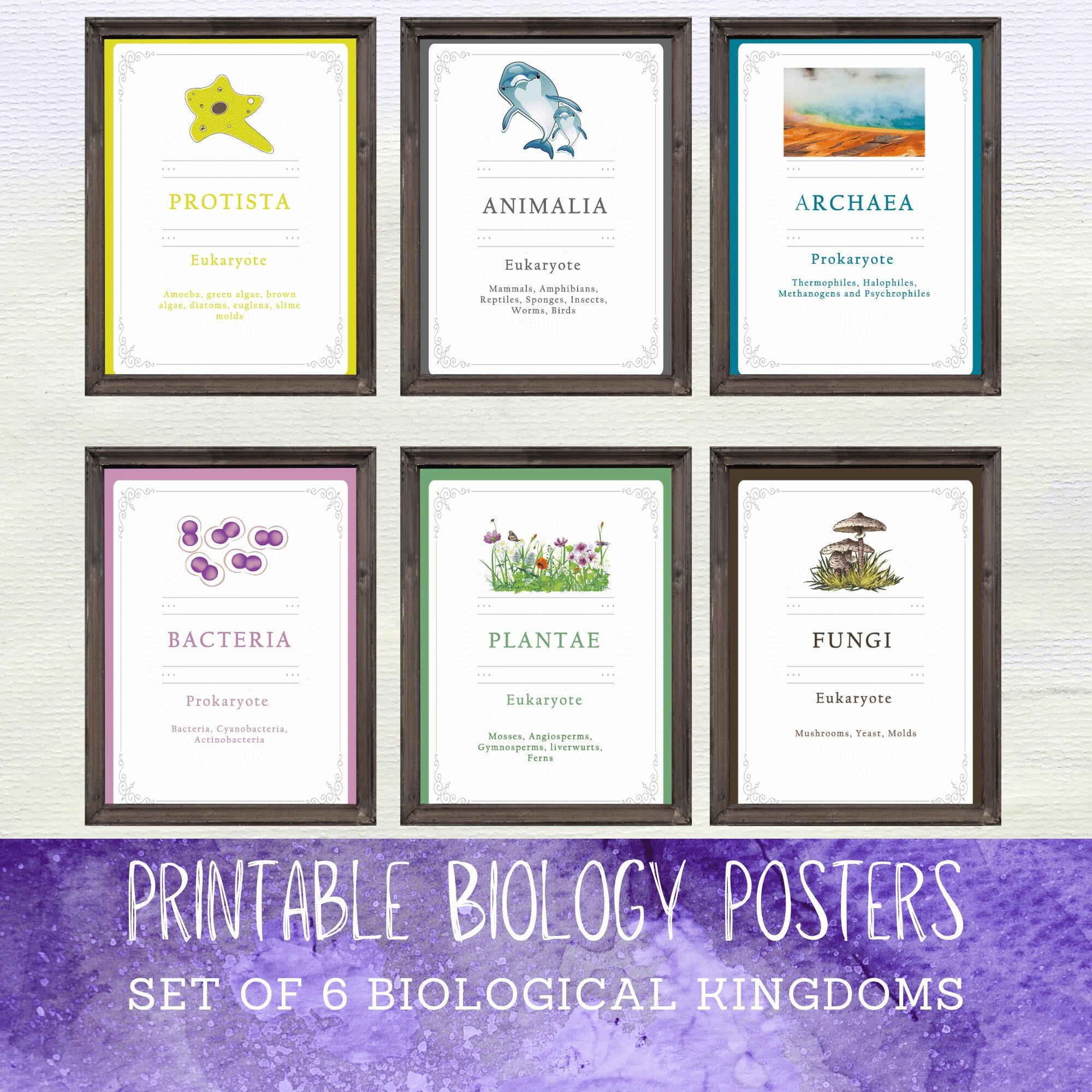 Printable Biology Posters The 6 Kingdoms Science Posters Classroom ...