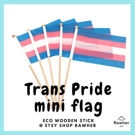 Trans Pride mini flag Eco Friendly | Etsy