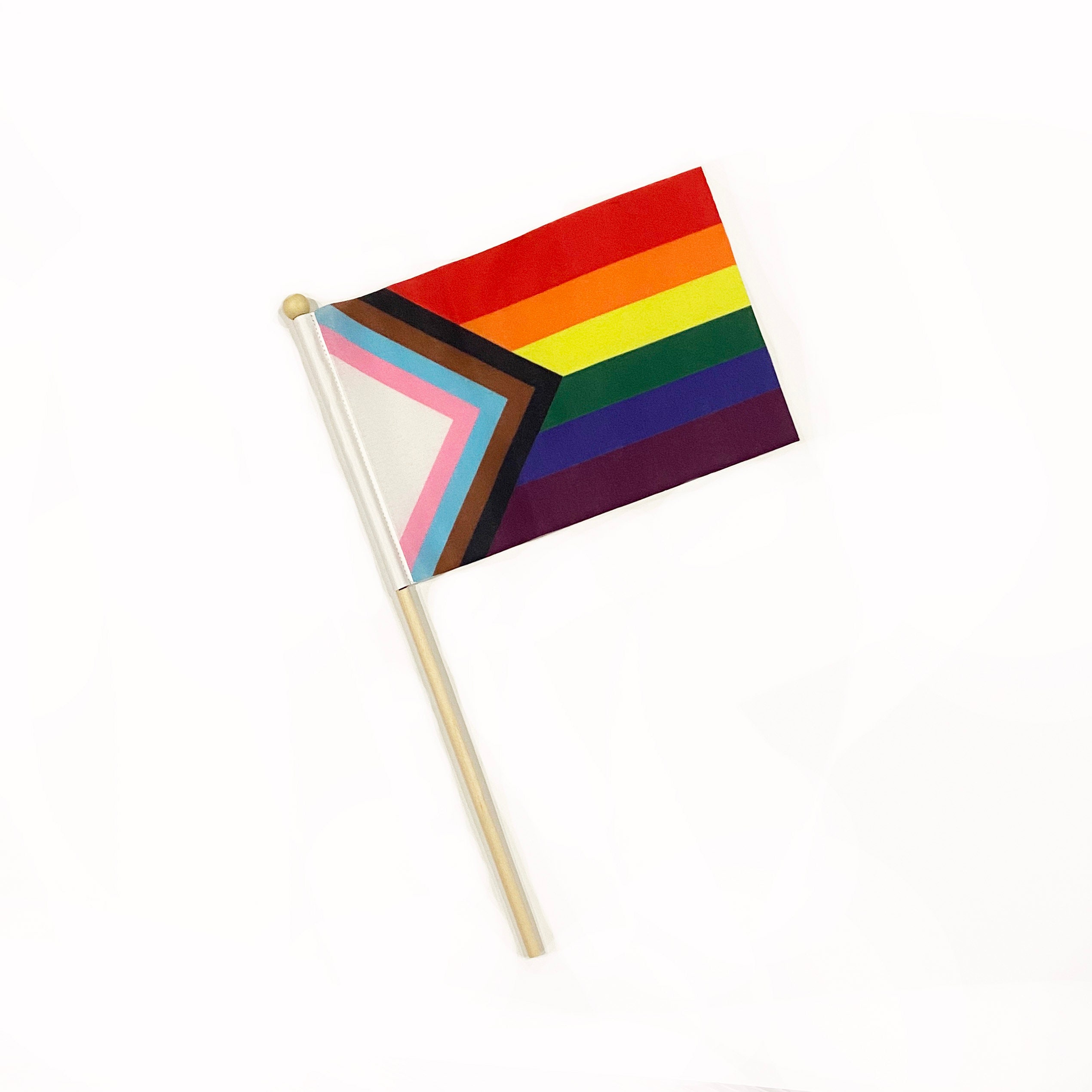 Pride Hand Flag Progress Pride Eco Hand Flag Wooden Pole - Etsy