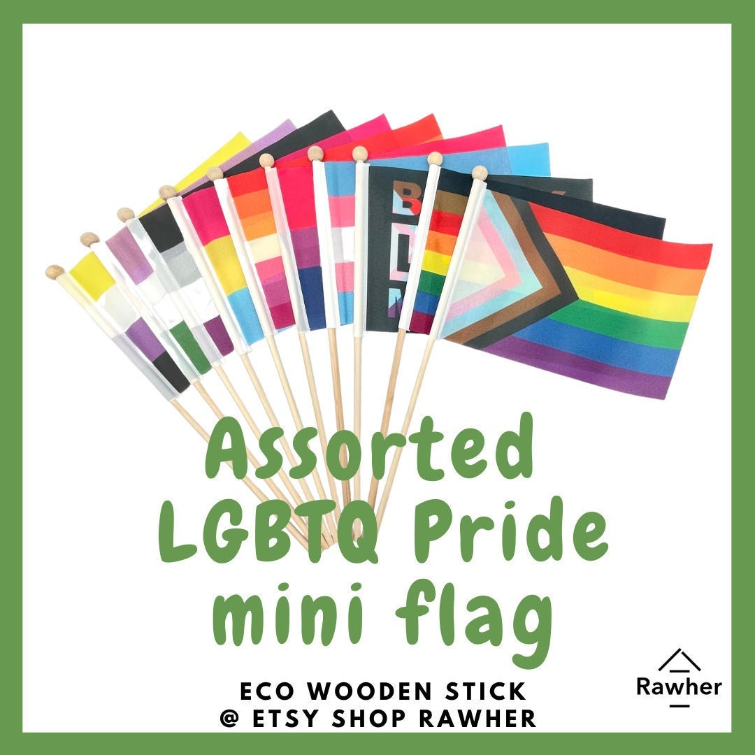 10 Assorted C LGBTQ Pride Flag Mini Flag Eco Wooden Stick - Etsy