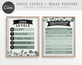 Voice Level Chart Classroom Printable Poster Editable in | Etsy Canada