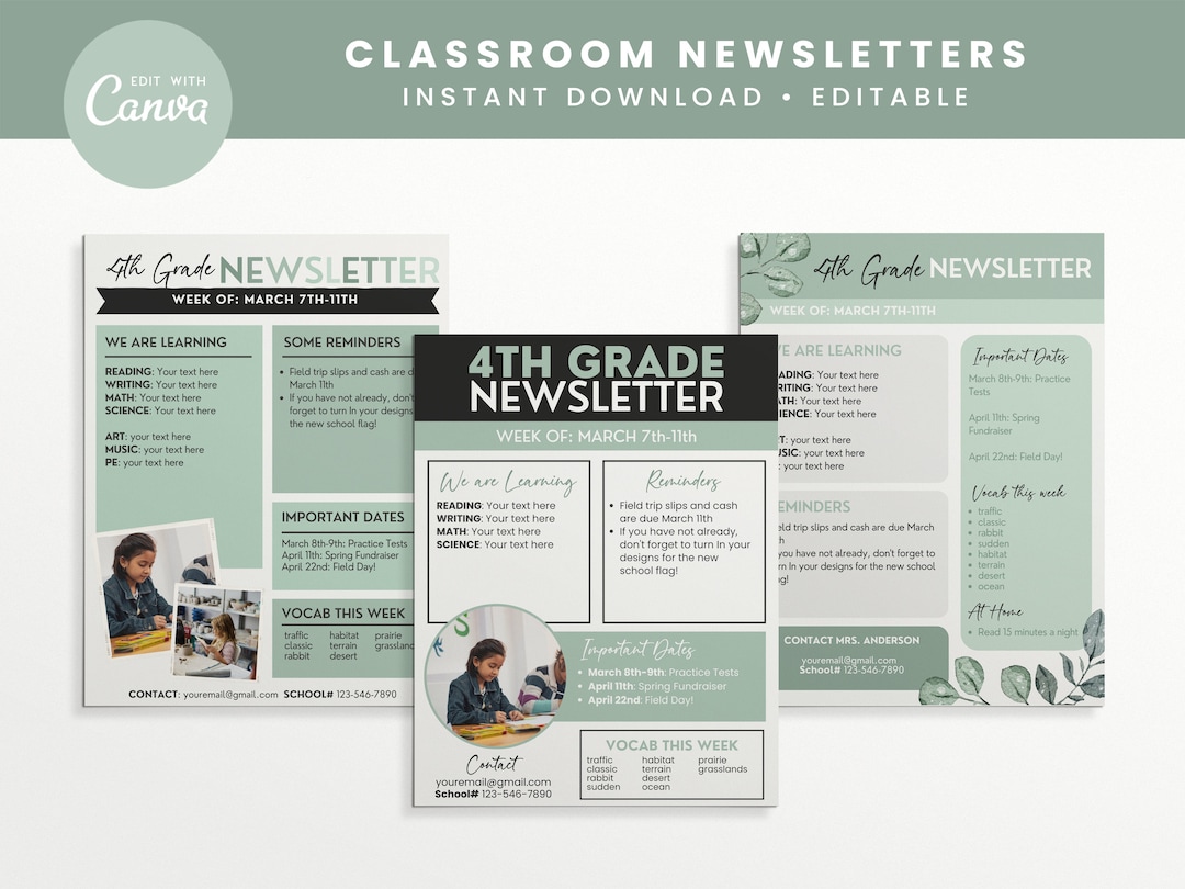 Classroom Newsletter Editable Templates, Back to School, Classroom ...
