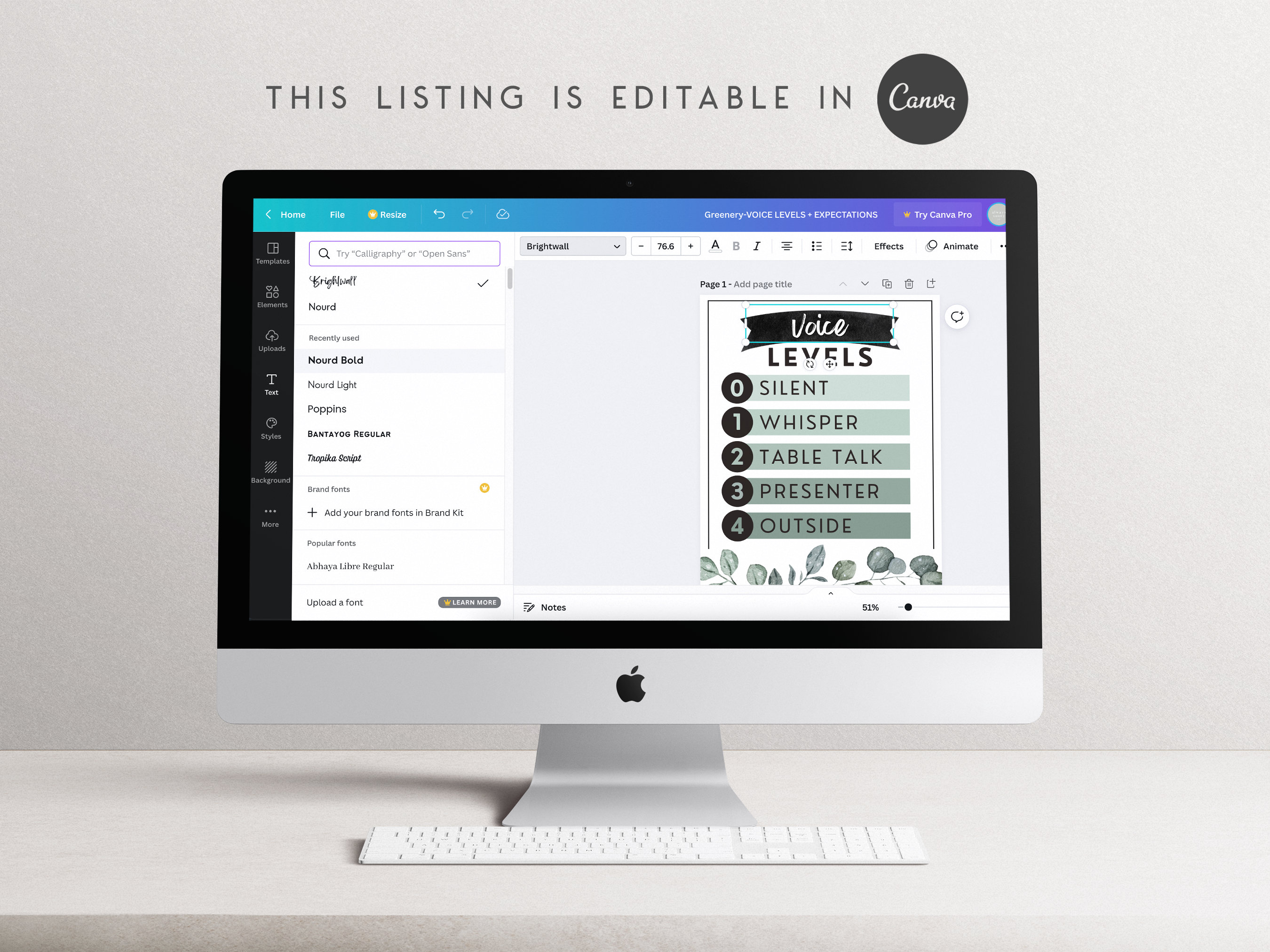 Voice Level Chart Classroom Printable Poster, Editable in Canva, Boho ...