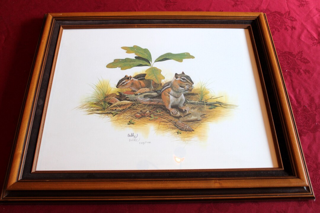 Don Balke Large Framed Nature Print of Chipmunks - Artist Signed and ...