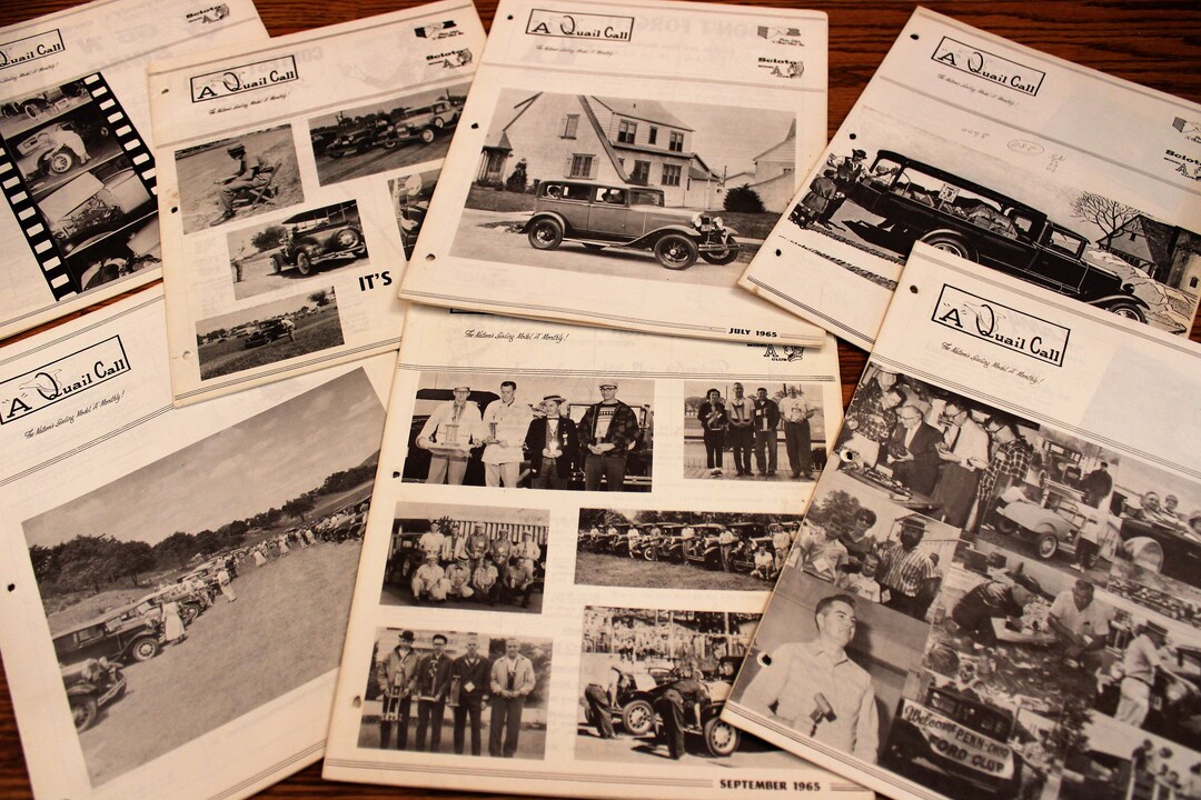1965 Ford Newsletters From a Quail Call the Nation's Leading Model a ...