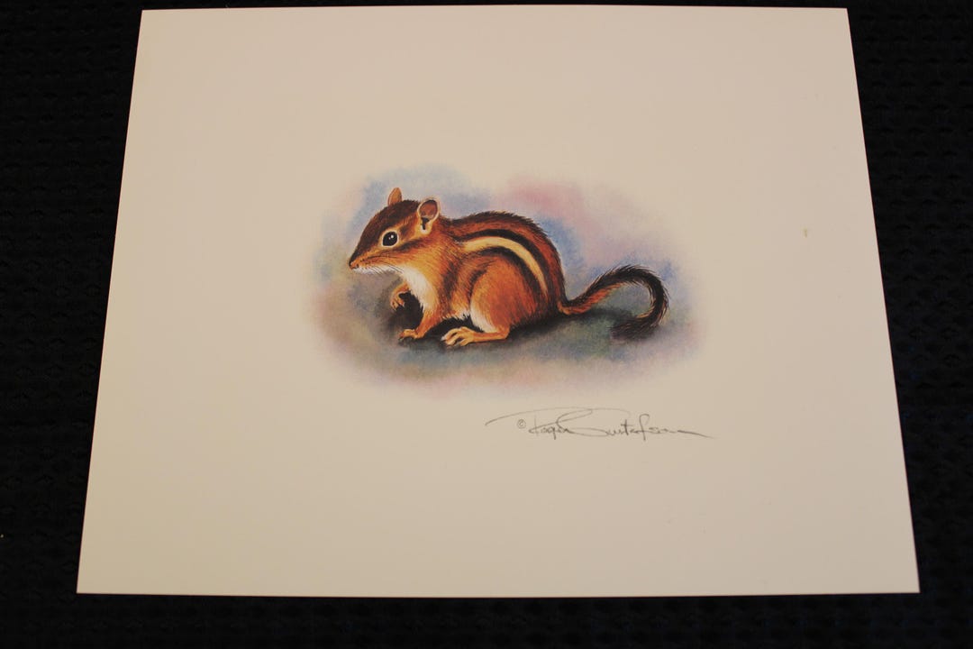 Roger Gustafson Watercolor Lithograph of a Chipmunk - 8" by 10", Great ...