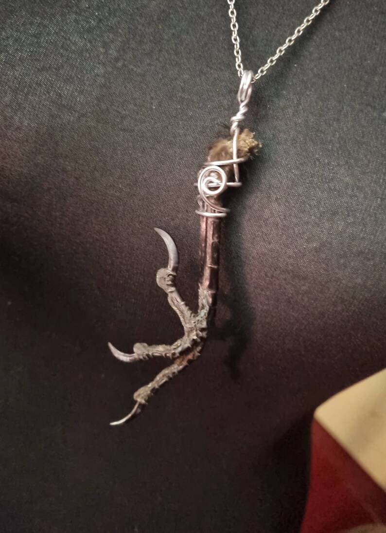 Real Crow Claw Necklace Taxidermy Pagan Gothic Fashion - Etsy