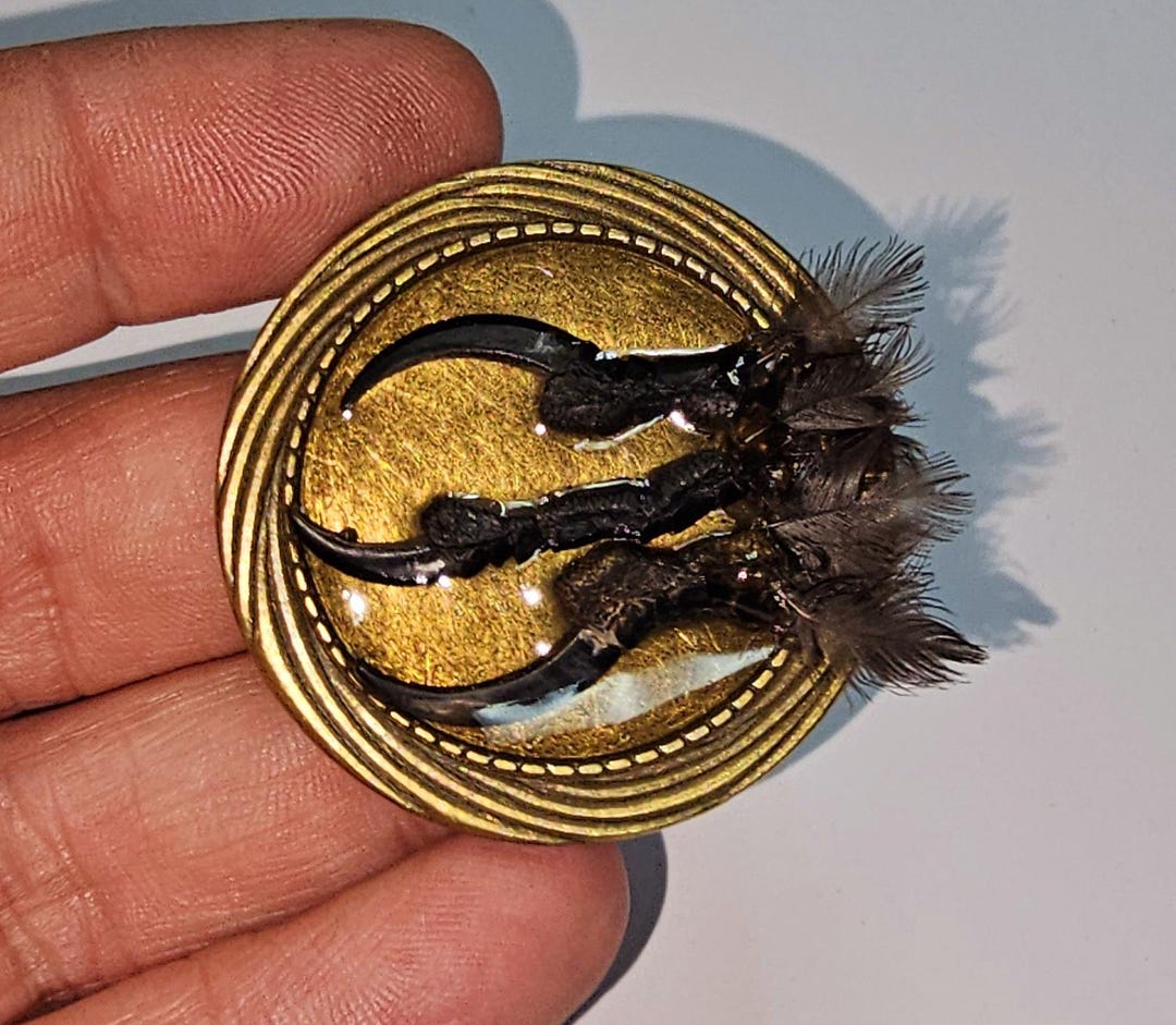 Crow Claw Brooch, Crow Talon Brooch, Nature Inspired Brooch, Unique One ...