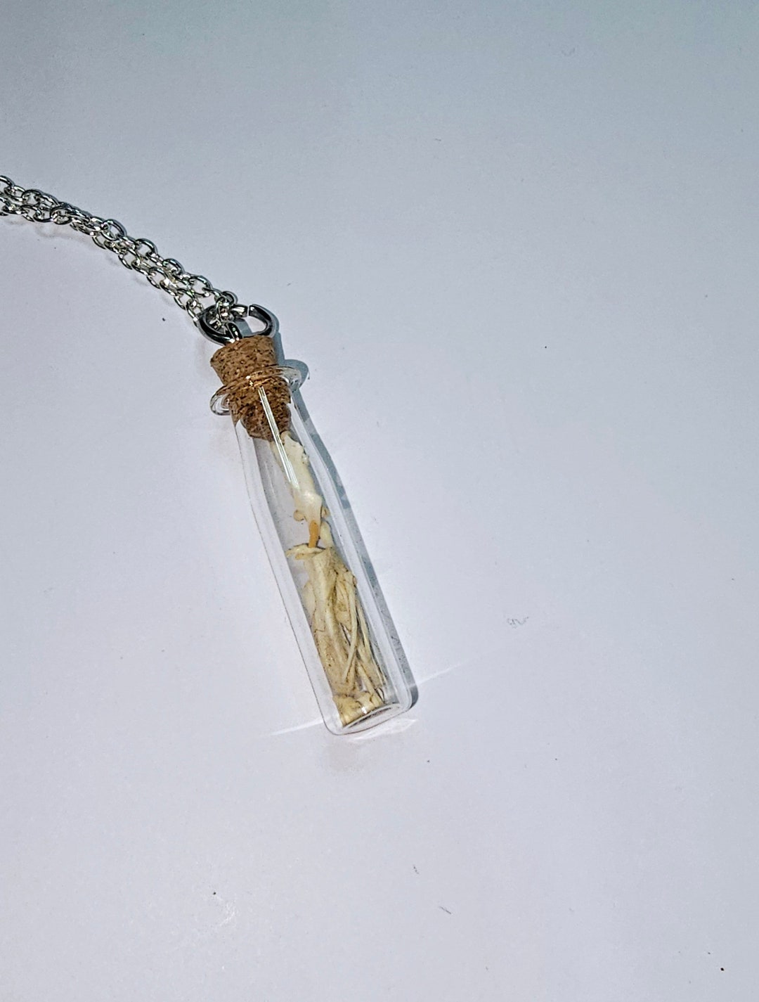 Bone Vial Pendant, Vial of Bones, Curio Necklace - Etsy