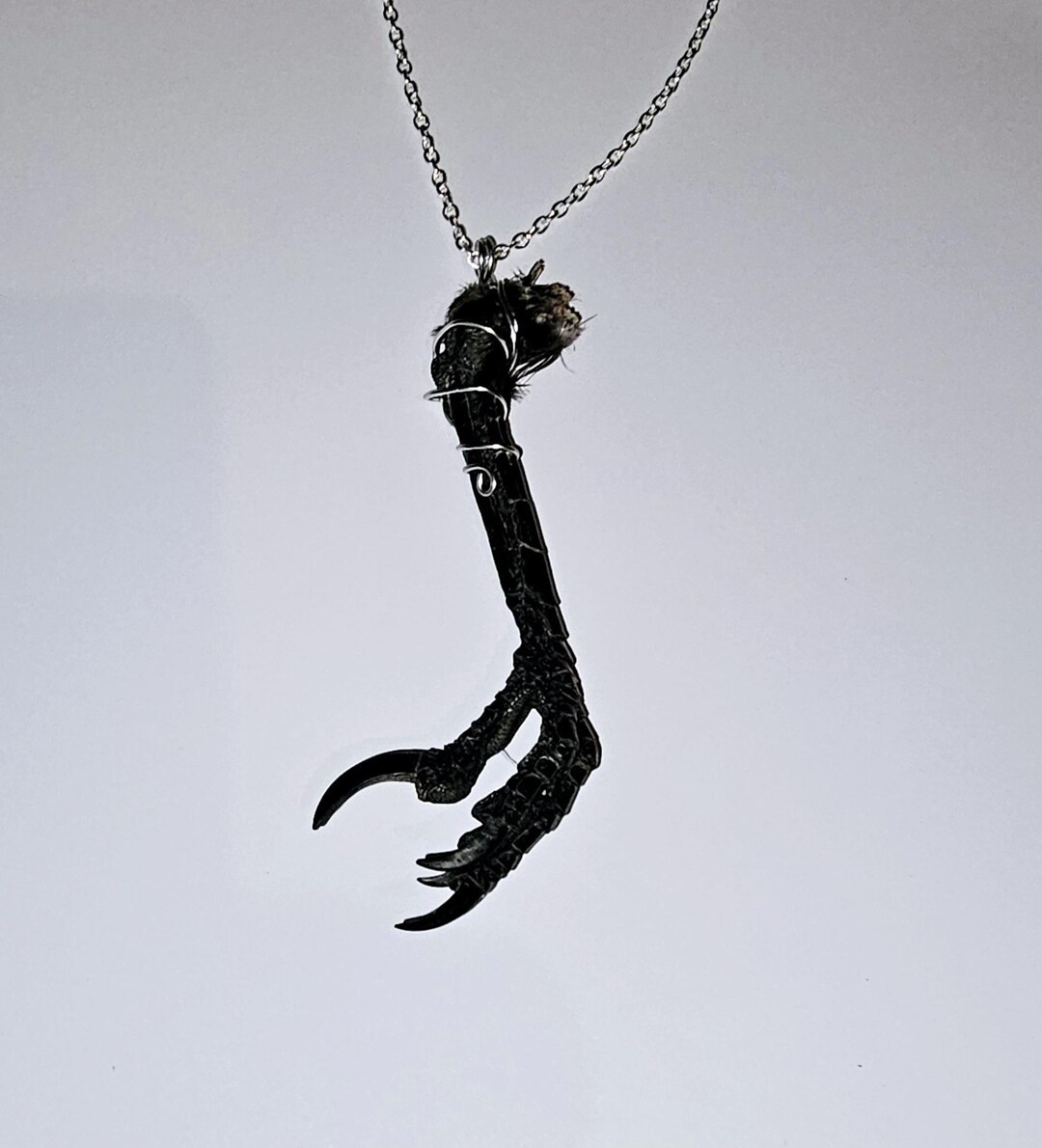 Real Crow Claw Talon Necklace, Bird Claw Pendant - Etsy