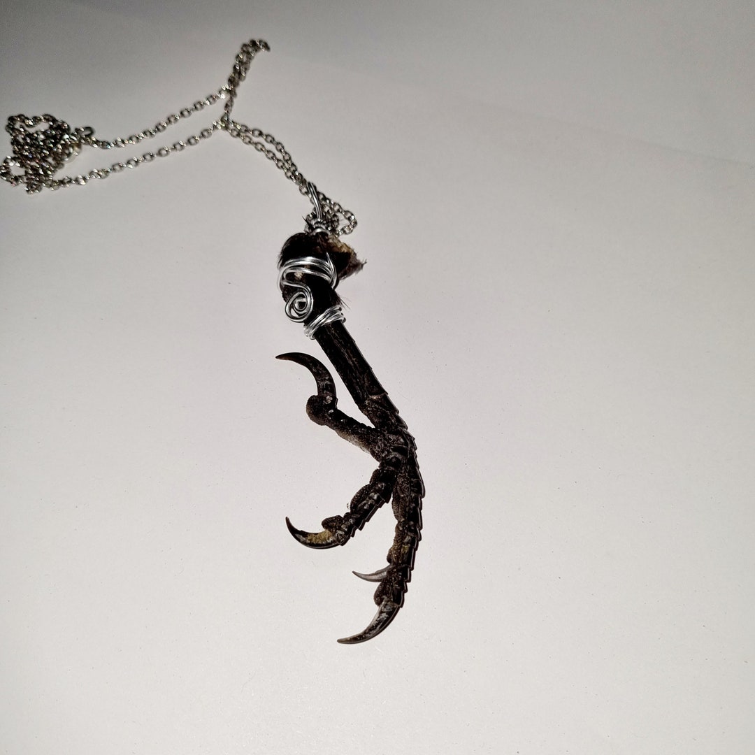 Real Crow Claw Pendant, Crow Talon Necklace, Raven Claw Pendant - Etsy