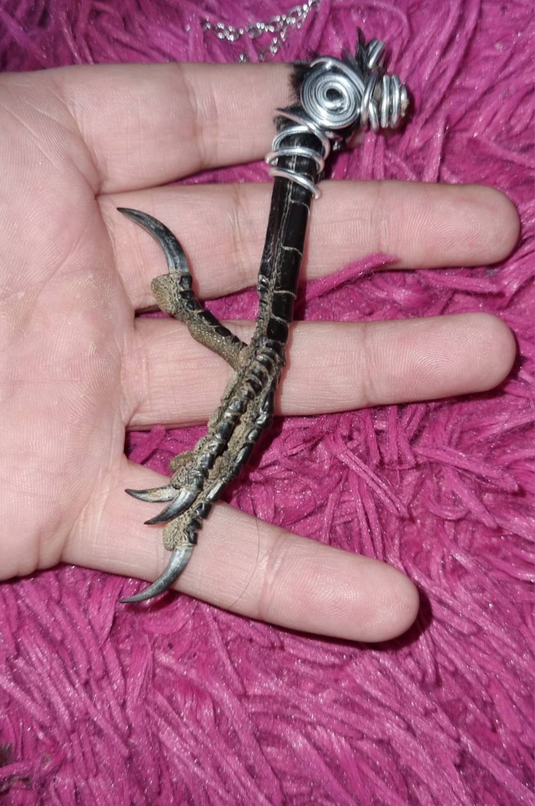 Real Crow Claw Talon Necklace, Bird Claw Pendant - Etsy
