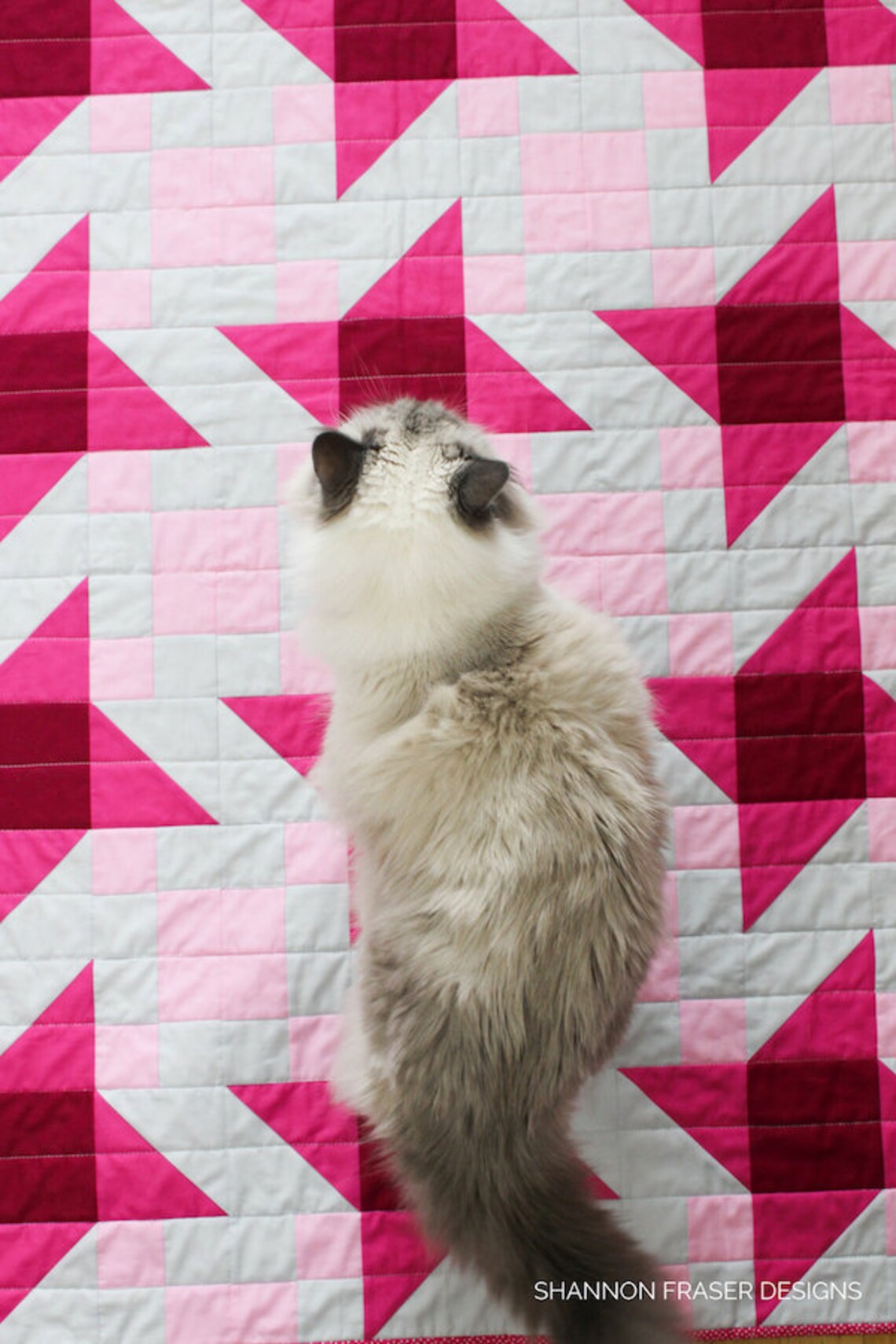 Irish Vortex Quilt Pattern Beginners Quilt Pattern Modern | Etsy