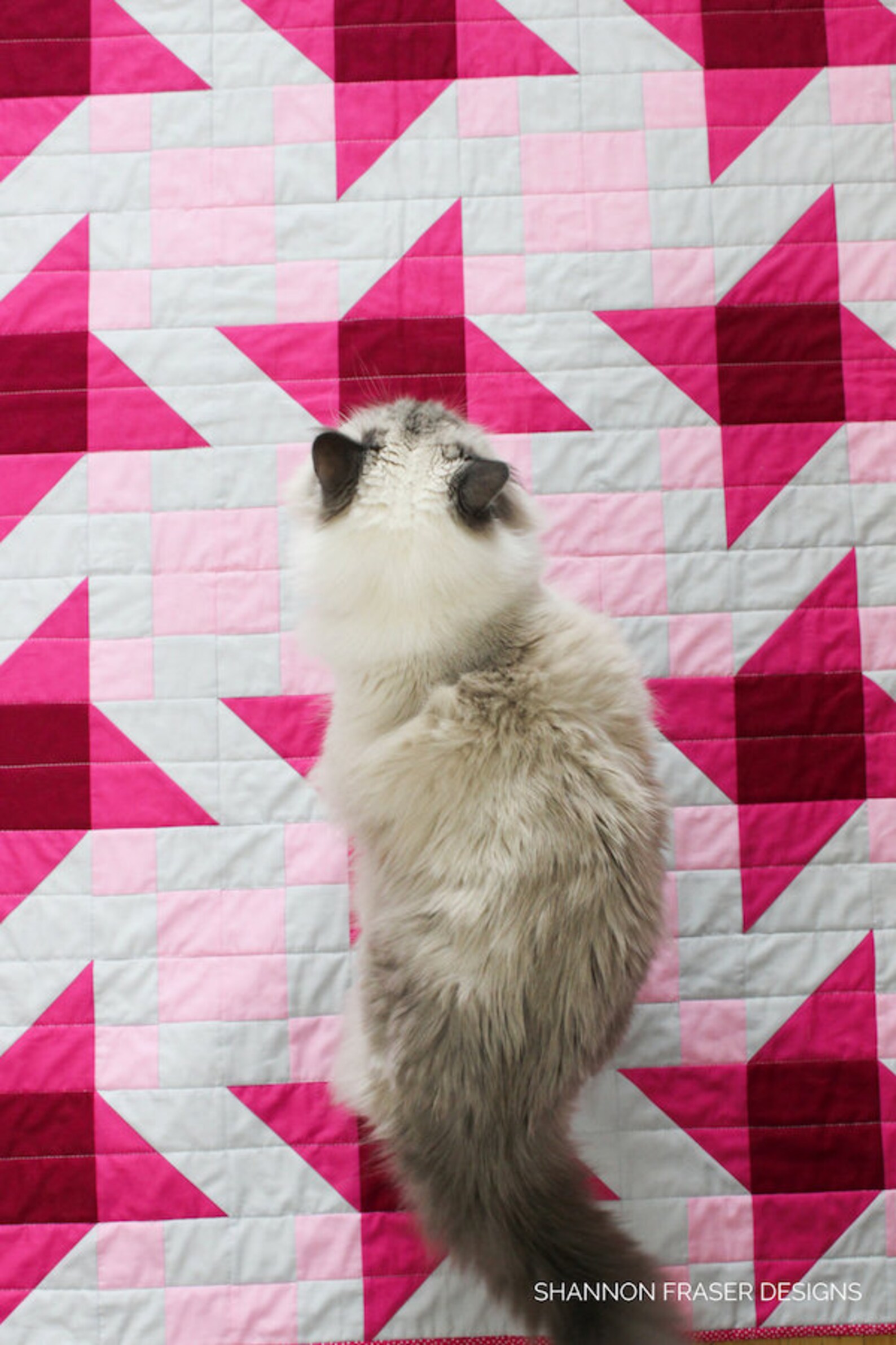 Irish Vortex Quilt Pattern Beginners Quilt Pattern Modern | Etsy