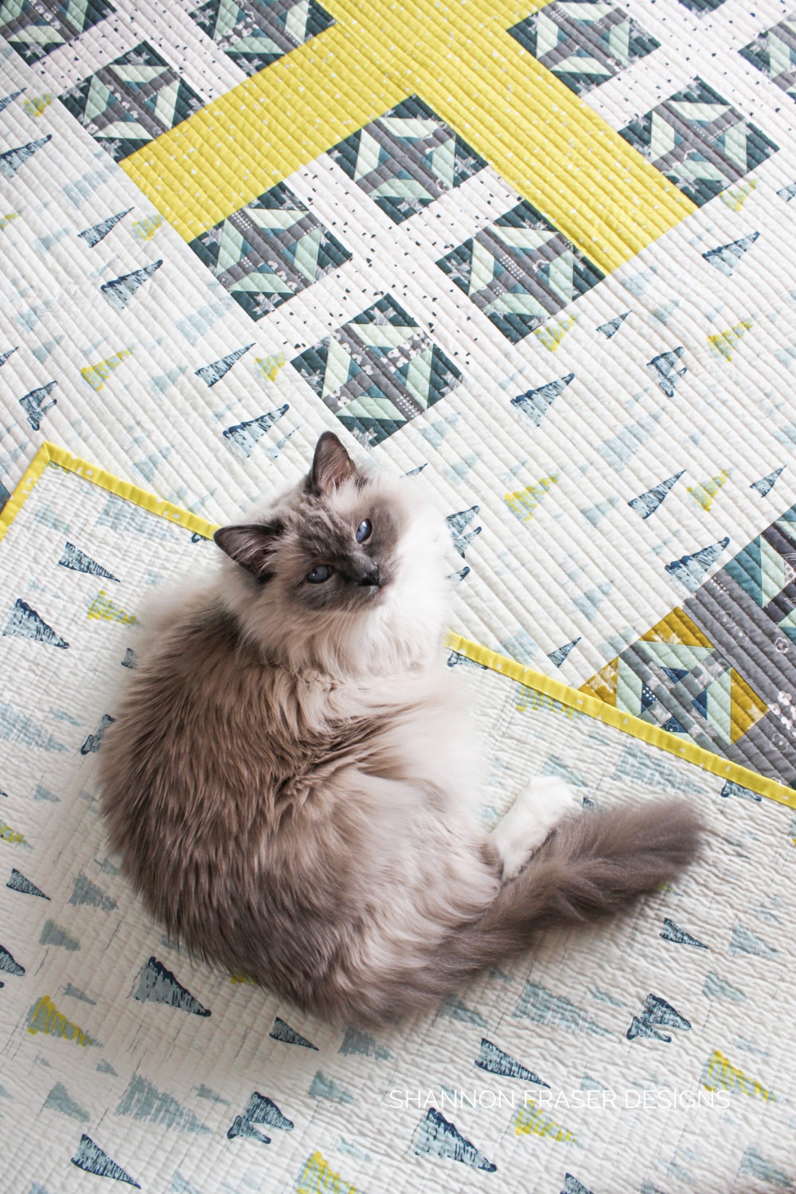 Plus Infinity Quilt Pattern Beginners Quilt Pattern Modern - Etsy