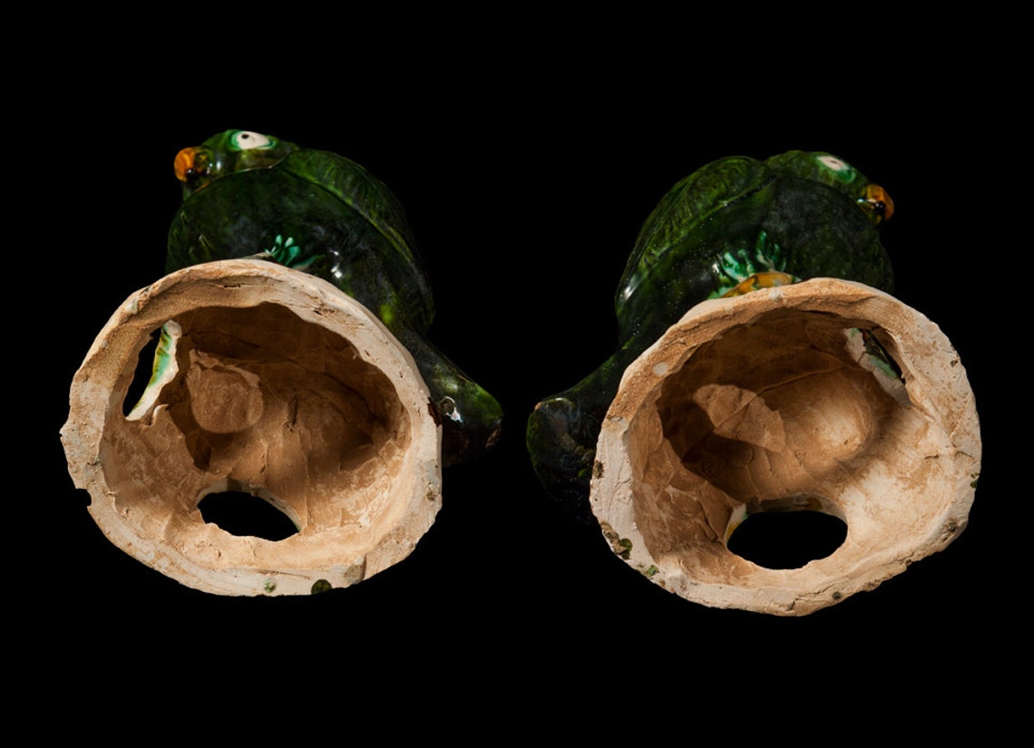 Rare pair of Tang parrots. AD 618690 & 705907 | Etsy