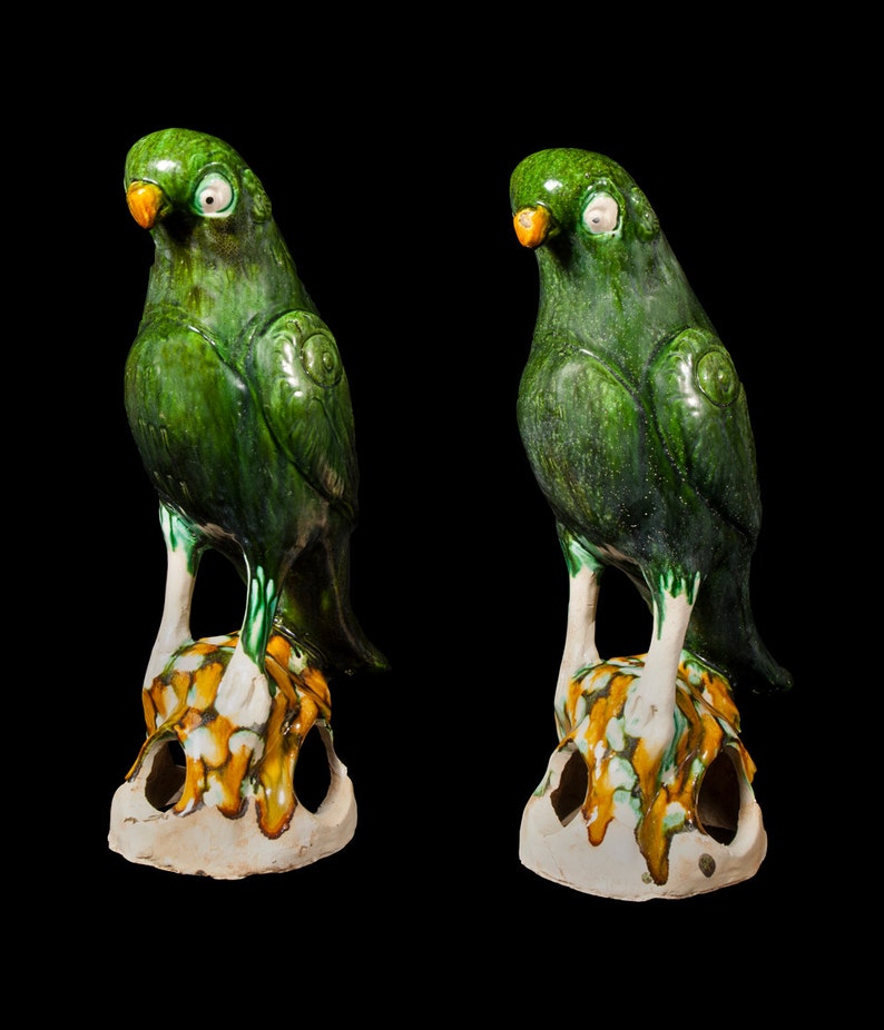 Rare pair of Tang parrots. AD 618690 & 705907 | Etsy