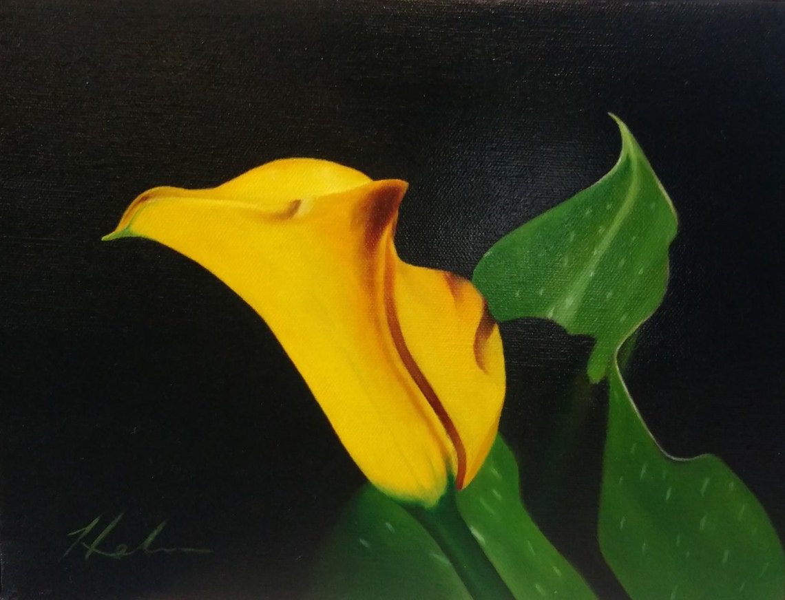 Yellow Calla Lily, Original Oil Painting on Canvas, 9"x 12" - Etsy