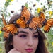 Monarch Feather Butterfly Crow Costume Headpiece Flower Crown Festival ...