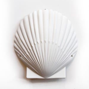 Mermaid Shell Bra Top (mermaid Bra Sea Shell Costume Princess Bikini ...