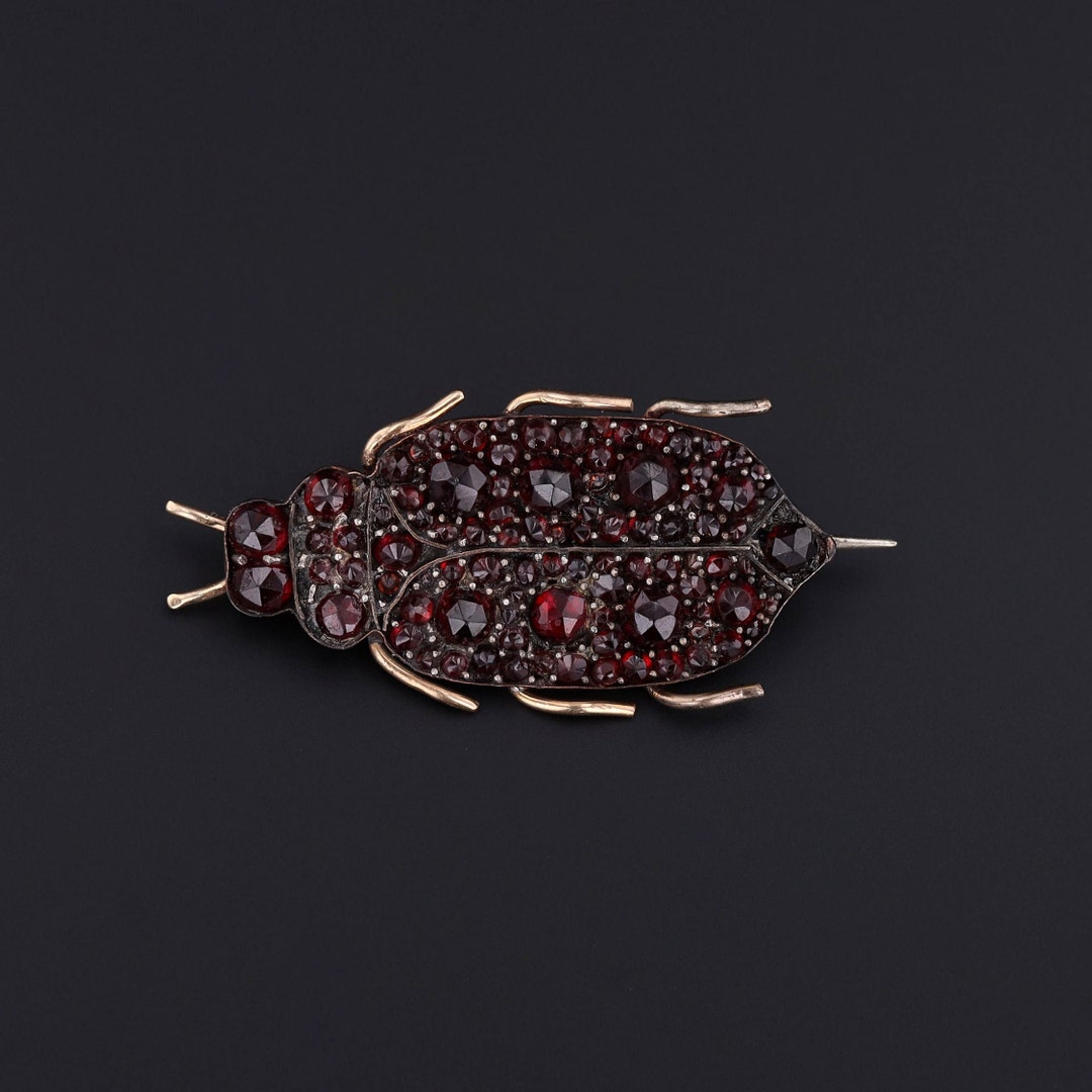 Victorian Bohemian Garnet Insect Brooch - Etsy