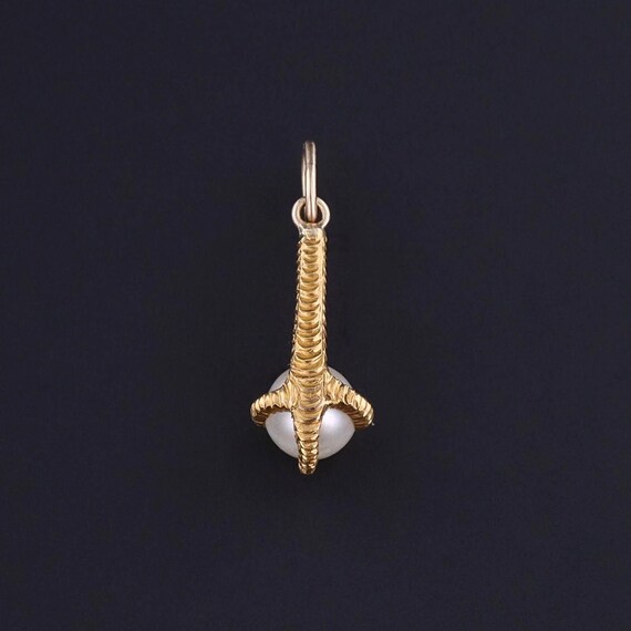 Antique Pearl Talon Charm of 14k Gold - Gem