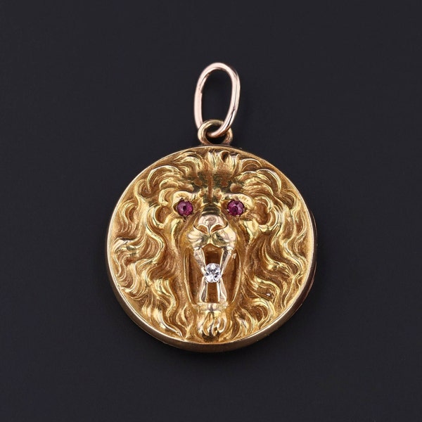 Lion Locket - Etsy