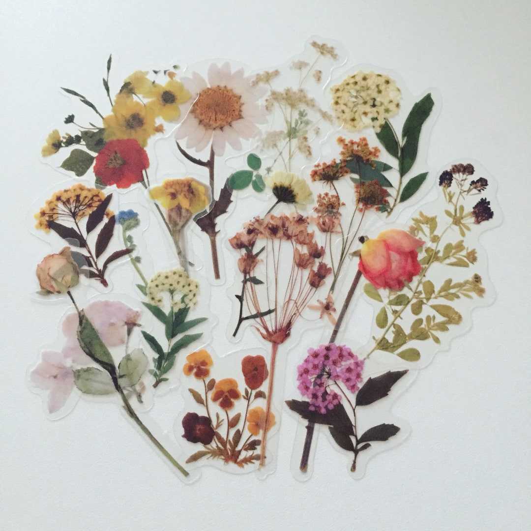 Dried Wildflowers Sticker Set, Pressed Flowers Stickers, Meadow Flower ...