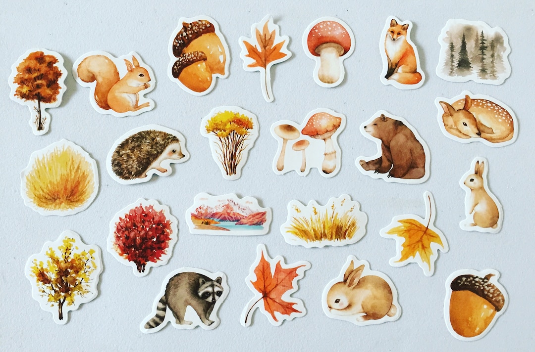 Forest Animals Stickers, Fox / Bear / Rabbit / Squirrel / Deer Stickers ...