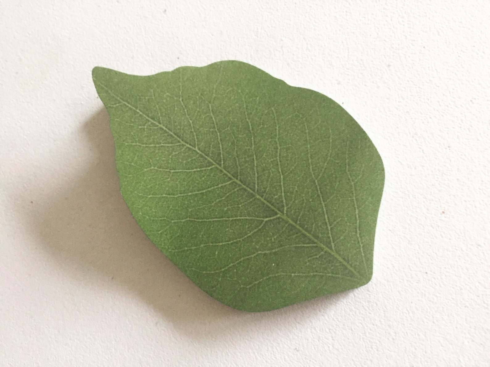 Green Leaf Sticky Notes Nature Leafy Sticky Notes Zen | Etsy UK