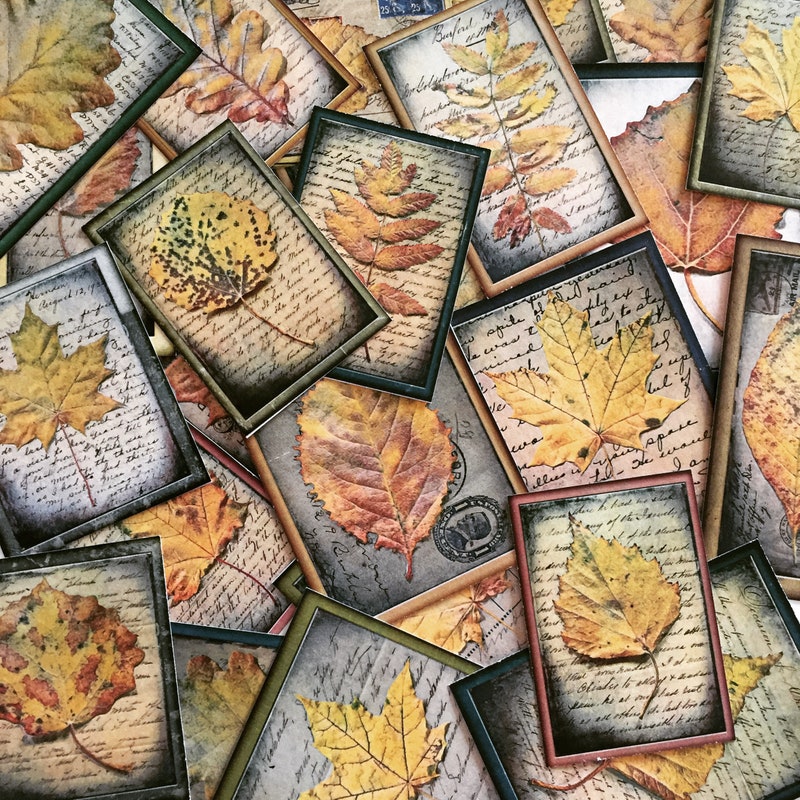 Leaf Collage - Etsy