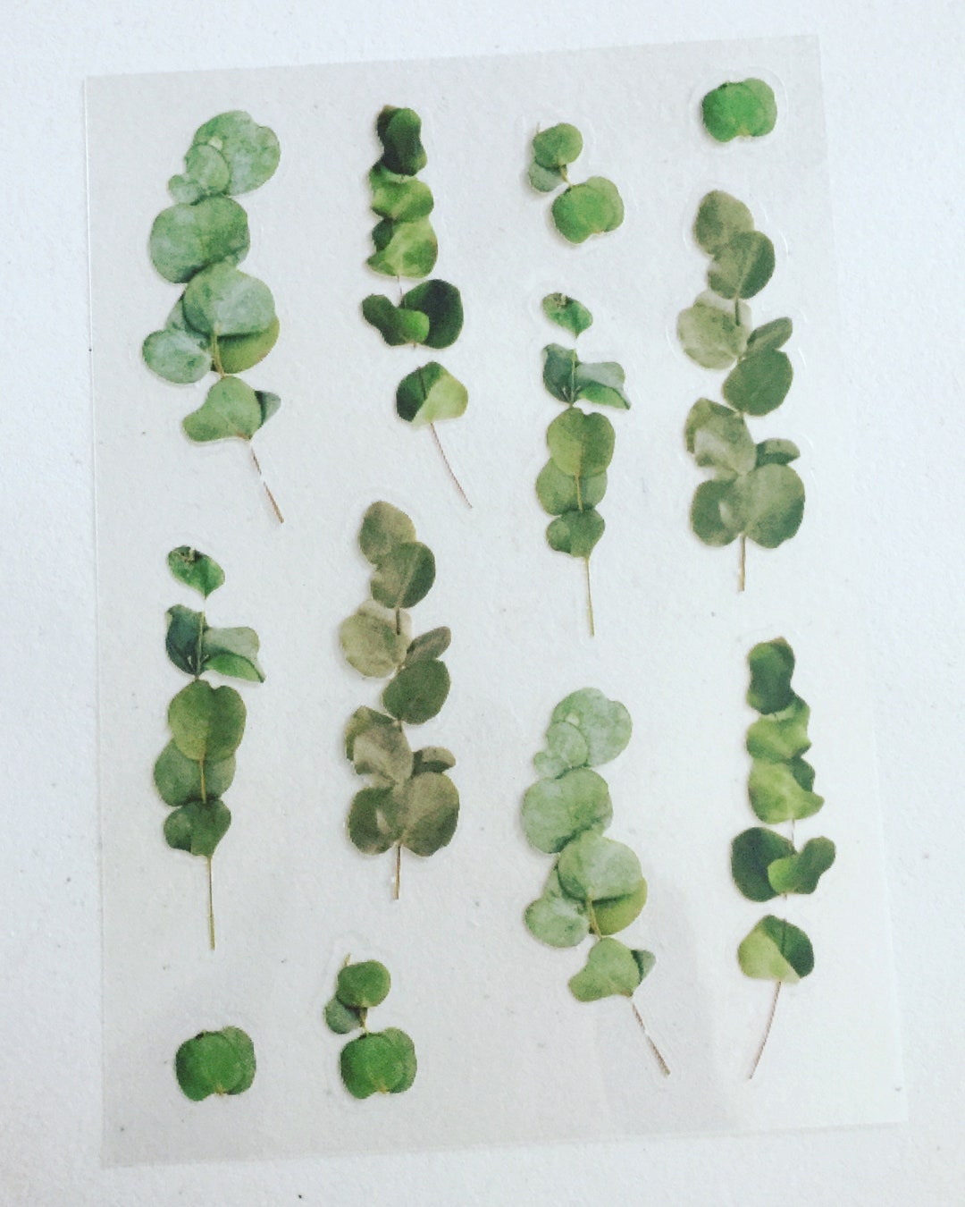 Eucalyptus Plant Stickers, Eucalyptus Leaf Planner Stickers, Leaves ...