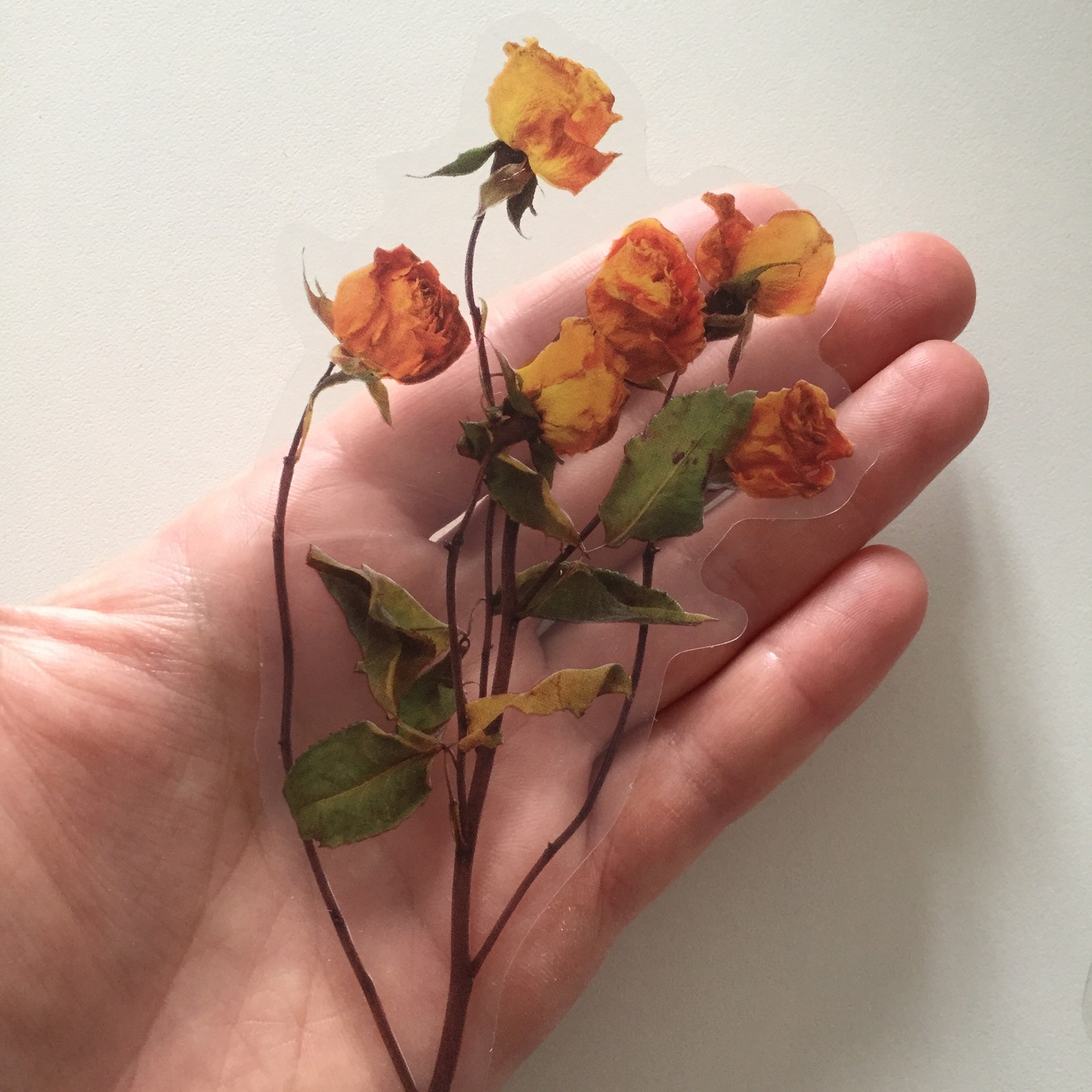 Large Dried Flowers Sticker Set, Pressed Rose Stickers, Pressed ...